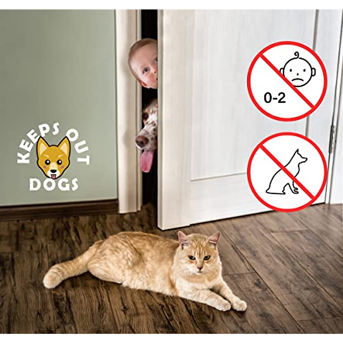 Cat Door Latch Holder,【8 Adjustable Sizes】 Stronger Flex Cat Door Stopper, Keep Door Open 1.5" to 8", Let's Cats in and Keeps Dogs Out of Litter & Food, No Tool Required & No Wall Damage