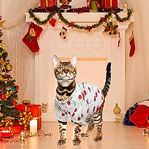 DENTRUN Cherry Pattern Sphynx Hairless Cats Shirt, Pullover Kitten T-Shirts with Puff Sleeves, Breathable Cat Wear Cute Turtleneck Sweater Adorable Cat's Clothes Vest Pajamas Jumpsuit, XS