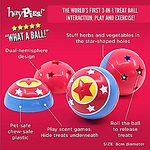 HAYPIGS 1x Circus Themed Guinea Pig Treat Ball - Guinea Pig Toys and Accessories - Rabbit Enrichment Toys Small Animal Toy - Small Pet Activity Ball - Pet Entertainment