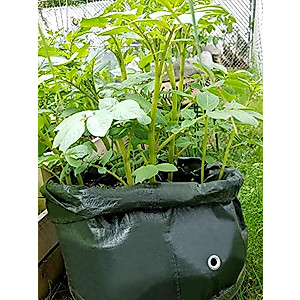 4 Pack 10 Gallon Garden Potato Grow Bags with Flap and Handles Aeration Fabric Pots Heavy Duty Vegetable Planter Bag for Tomato, Fruits