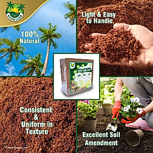 MODELLOR Premium Coco Coir Brick 10 lb., yields 18 to 20 gallons of Coir, Organic, Super Washed, Seed Starter, pH Balanced, Gardening, Indoor, Outdoor use.