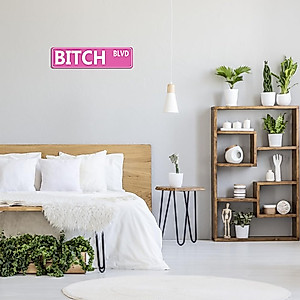 Retro Pink Tin Metal Sign - 'BITCH BLVD' - Bold Statement Decor for Home, Bar, or Dorm - 16x4 Inches - Unique Gift Idea for Friends(B71)