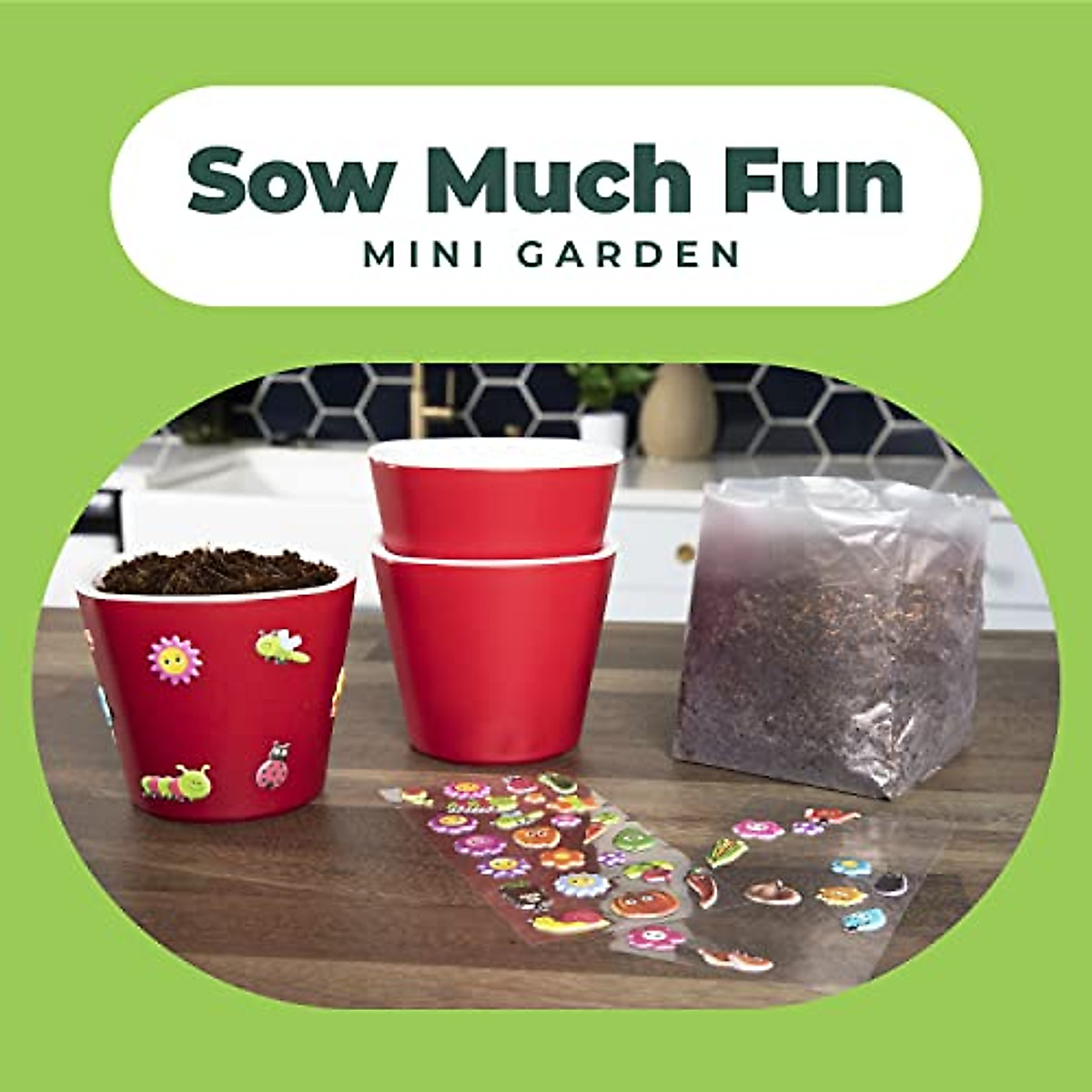Window Garden Sow Much Fun Seed Startining Kit for Kig, Vegetable Planting and Growds, 3 Self Watering Planters, Soil, Seeds and Puffy Stickers. No Mess, Easy (Cucumber)
