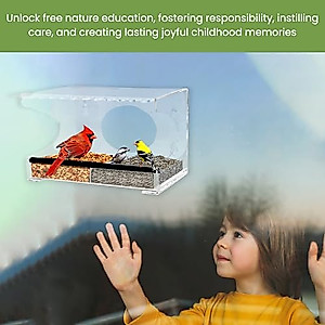 Large Clear Window Bird Feeder - Extended House with Strong Suction Cups - Steel Perch Sliding Feed Seed Tray - See Through Transparent Big Birdhouse - Wild Finch, Cardinal, Blue Jay - Cool Cat Gift