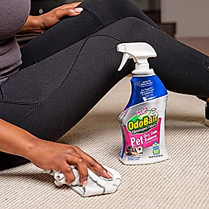 OdoBan Pet Solutions Oxy Stain Remover, Pet Stain Eliminator, 2-Pack, 32 Ounce Spray Each