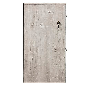 Saint Birch Elma 2-Drawer Modern Wood File Cabinet in Washed Gray