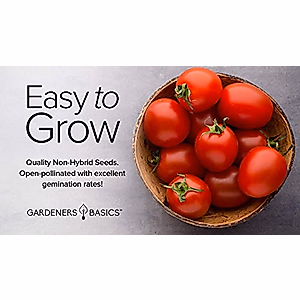 Large Cherry Tomato Seeds for Planting Heirloom Non-GMO Red Cherry Tomato Plant Seeds for Home Garden Vegetables Makes a Great Gift for Gardening by Gardeners Basics