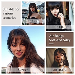 HMD Bangs Hair Clip in Bangs Real Human Hair Wispy Bangs Fringe with Temples Hairpieces for Women Clip on Air Bangs Flat Neat Bangs Hair Extension for Daily Wear (Wispy Bangs, Dark Brown)