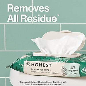 The Honest Company Flushable Wipes for Sensitive Skin | Fragrance Free, Hypoallergenic, 99% Water, Safe to Flush | Tropical Leaves, 126 Count