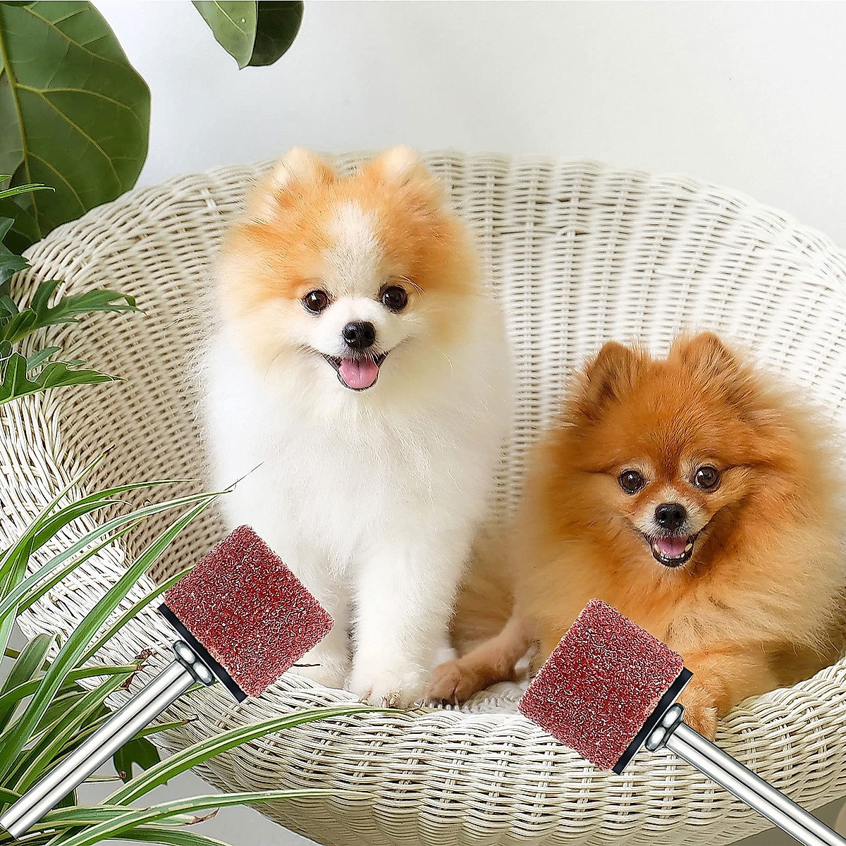 22 Pet Nail Grinder Replacement Kit with Grit Sanding Bands Pet Nail Smoother Dog Claw Care Black Grinding Drums Dog Nail Grinder Replacement Dog Claw Grooming Supplies (1/2 Inch 60 Grit and 100 Grit)