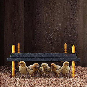 Rural365 Chick Heating Plate Brooder Plate - 10 Inch Brooder Heat Plate for Chicks and Ducklings with Adjustable Height