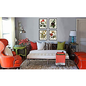 Botanical Flower Set of 4 Art Prints Antique Beautiful Red Rose Poppy Large Black Hollyhock Dandelion Spring Summer Garden Home Room Wall Decor Unframed KOH
