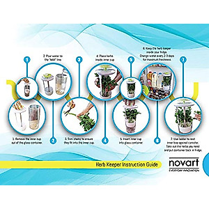 NOVART XXL Herb Keeper and Herb Saver – Glass Storage Container for Cilantro, Mint, Parsley, Asparagus, Keeps Greens Fresh for 2-3 Weeks