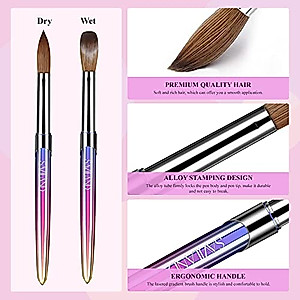 Saviland 11PCS Kolinsky Acrylic Nail Brush set - Size 4/6/8/10/12/14/16 Acrylic Powder Brushes for Acrylic Nails Extension & 3D Nail Carving