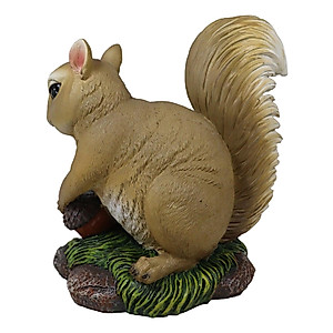 Ebros Gift Large Rude Squirrel Pointing Middle Finger with Acorn Nutty Welcome Guest Greeter Statue 10" Tall Whimsical Woodlands Funny Animal Squirrels Chipmunks Flipping Off Home Decor Figurine