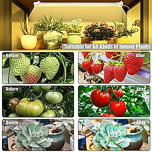 LED Plant Grow Light Strips Full Spectrum Grow Lights for Indoor Plants with Auto On/Off 3/6/12H Timer, 5 Dimmable Levels 192 LEDs Sunlike Grow Lamp for Hydroponics Succulent,Waterproof 4 Pack