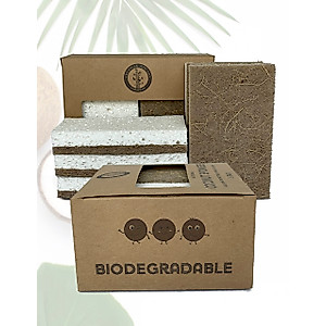Natural Sponges - 6 Pack of EcoFriendly Biodegradable Coconut Sponges - Multipurpose Kitchen Sponges - by American Kitchen Company ™