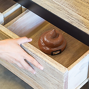 NUOBESTY Poop Car Remote Control Plastic Simulation Stool Toy Shit Poop Car with Spinning and Farting Action for Halloween April Fools Day Party Kids Child Toy