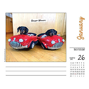 Crusoe the Celebrity Dachshund 2021 Box Calendar (Dog Breed Calendar)