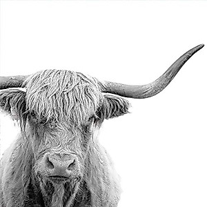 Clouday Flannel Fleece Bed Blanket Soft Throw-Blankets for Sleep,Grey Animal Highland Cow Pattern,Lightweight Baby Blankets for Bedroom Living Room Sofa Couch,49x59 Inch