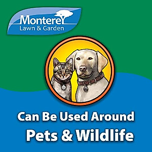 Monterey Sluggo Max 3% Iron Phosphate Can,LG6542