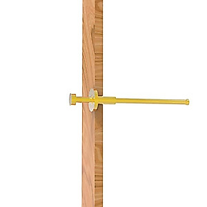 Allied Brass Modern Style Pullout Retractable Garment Rod, 10-Inch, Polished Brass