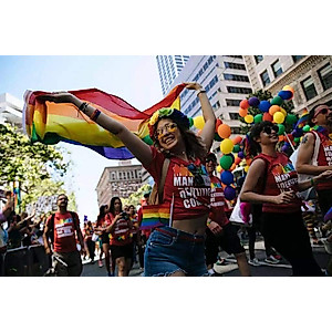 DreamLily Rainbow Rose Hawaiian Stretch Flower Headband for Garland Party (Rainbow)