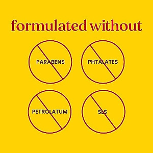 Burt's Bees Lip Balm - Watermelon, Lip Moisturizer With Responsibly Sourced Beeswax, Tint-Free, Natural Origin Conditioning Lip Treatment, 2 Tubes, 0.15 oz.