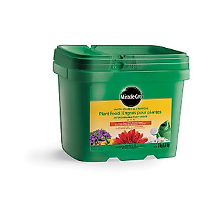 Vogholic Miracle-GRO 2757010 Water Soluble All Purpose Plant Food 24-8-16 3Kg: Amazon.ca: Patio, Lawn & Garden