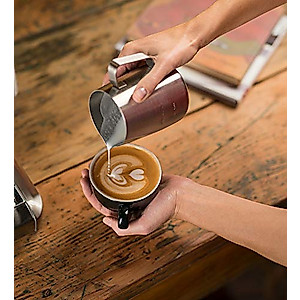 Breville Duo Temp Pro Espresso Machine,61 Fluid Ounces, Stainless Steel, BES810BSS