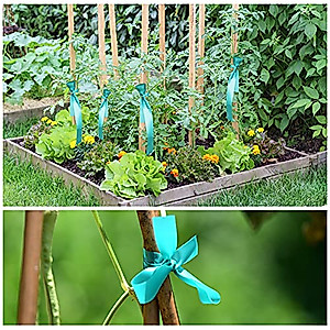 TELENT OUTDOORS Stretch Tie Tape, 1” Wide 200FT Reusable Garden Plant Ties Green Tapes for Plants, Thick Garden Vinyl Stake Ribbon for Branches Flowers Tomatoes Indoor Outdoor Greenhouse