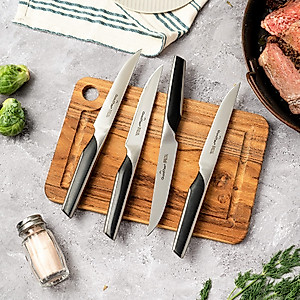 GRANDTIES FEINSTE Ultra Sharp Premium Steak Knife Non Serrated | High Carbon German Stainless Steel Steak Knives Set of 4 | Full Tang Knife Dinnerware Sets Gift with Designed Knife Box