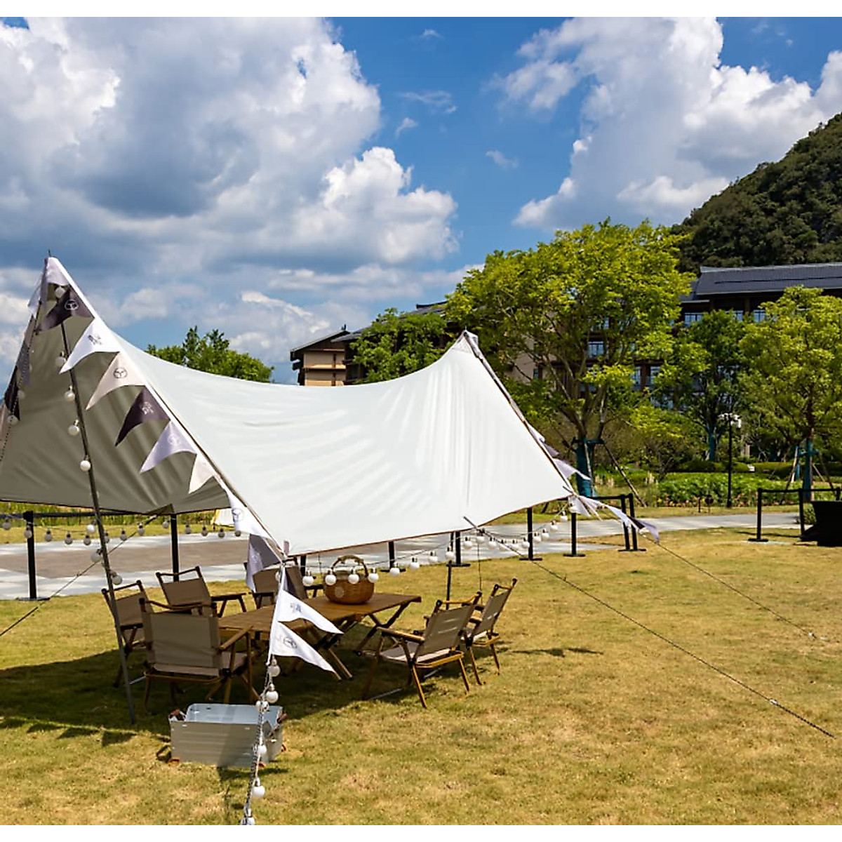 ALMOXVYE 20 Pack Tent Stakes, 10 Inch Heavy Duty Tent Camping Stakes, Galvanized Non-Rust Tent Pegs for Pop Up Canopy, Ground, Garden