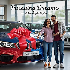 Aidwey Big Gift Wrapping Bows (30 inch, Red, 1 Pack), Butterfly Shape Gift Bow, Giant Bow for Car, Huge Car Bow, Car Bows, Big Red Bow, Big Car Bow, Bow for Gifts, Christmas Bow.