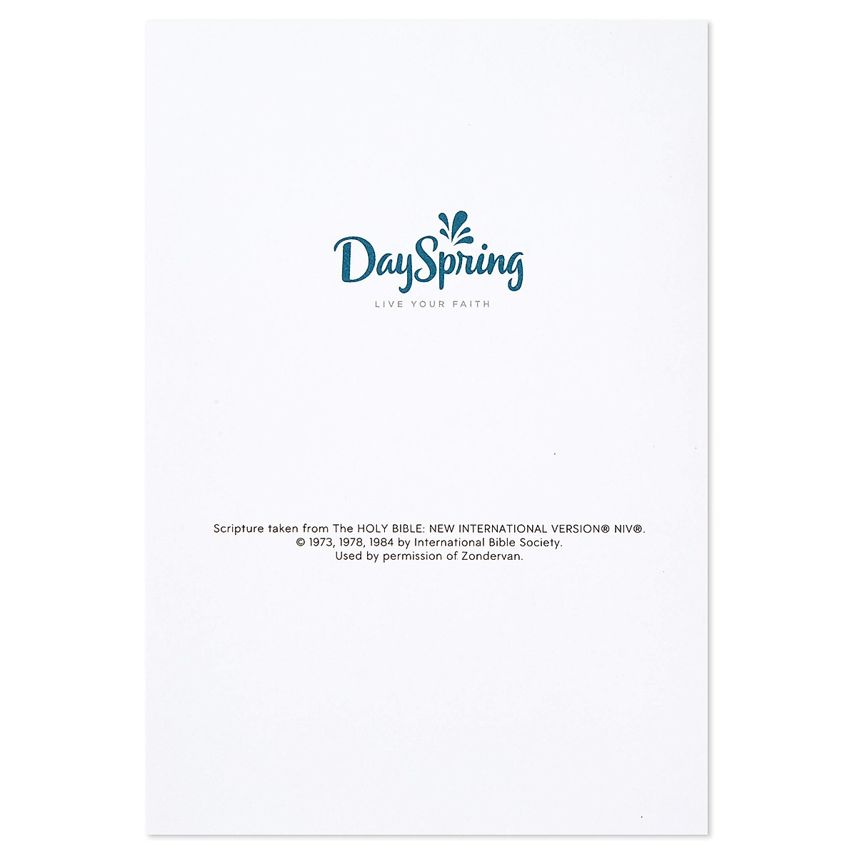 Dayspring Assorted Religious Birthday Cards (Christian Blessings, 12 Cards and Envelopes)