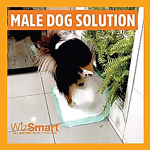 WizSmart Heavyweight Ultra Extra Large 10+ Cup Earth-Friendly & All-Day Dry Premium Dog and Puppy Potty Training Pads, Quick Drying, Absorbent, Odor-Free, Stay Put Tabs, 10+ Cup XL (24 Count)