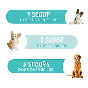 Under The Weather Pet Probiotic Powder for Dogs | Vet Formulated Dog Probiotics Supplement Filled with Good Bacteria | Promotes Healthy Digestion, Appetite, and Strong Immune System| 120 Servings