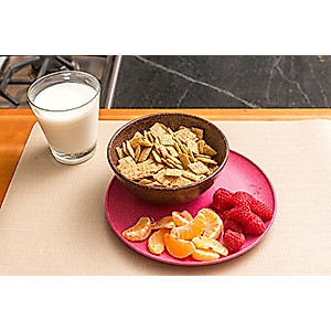 EVO Sustainable Goods 16 oz. Bowl Set, Blue