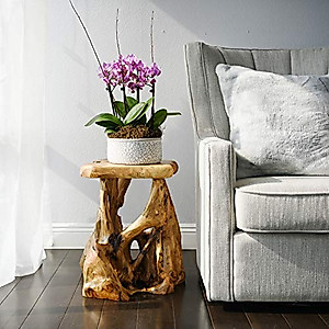 WELLAND Tree Stump Side Table, Live Edge Stool, Natural Edge Wood Side Table, Accent Table, 19" Tall