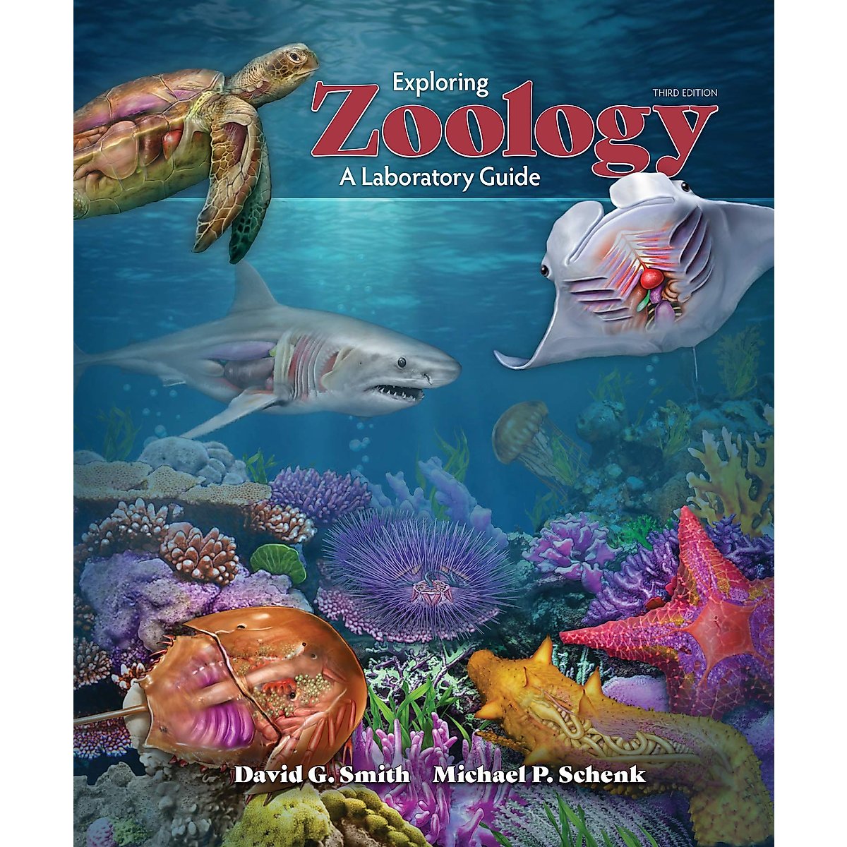 Exploring Zoology: A Laboratory Guide, 3e