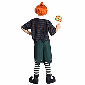 Child Munchkin Costume Small