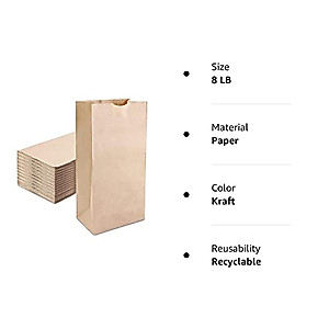 Mr Miracle Paper Bags Pack of 100 (Brown, 8Lb)