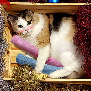 MEWTOGO 6Pcs Cat Kicker Toys with Sound Paper- Kitty Kick Sticks Soft Plush Cat Chew Toy to Squeak- Durable Cat Kick Toy for Indoor Kitten Cats Playing Chewing(11.8" x 1.6")