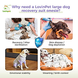 LovinPet Dog Surgery Recovery Suit - Professional Large Dog Recovery Suit Abdominal Wound Surgical Clothes Post-Operative Vest E-Collar Alternative Recovery Shirt Cut-Out Design of Abdomen,L