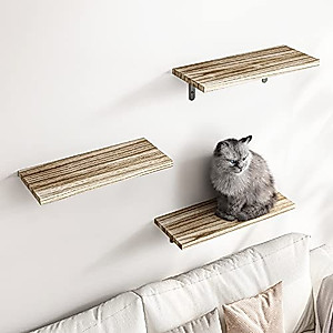 Fixwal Floating Shelves, Rustic Wood Wall Shelves Set of 6, Shelves for Wall Decor, Farmhouse Style for Bedroom, Living Room, Kitchen, Bathroom, Office and Plants (Carbonized Black)