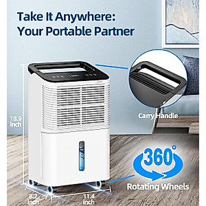 TABYIK 30 Pint Dehumidifier for Basement, with Drain Hose for Large Bedroom Bathroom, with Auto Humidity Control, 24H Timer