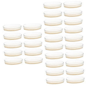 30 Pcs Nutrient Agar Plate Agar Petri Dishes for Mushrooms Tissue Culture Agar Plates Agar Plates for Experiment Dish Lab Dishes Kid Stuff Finished Product Child Specimen