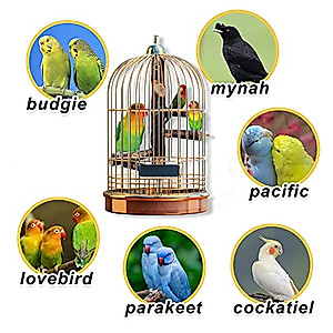 QeeHeng Bird Stand Perch,Natural Wood Parrot Perch Bird Cage,Bird Cage Perches for Parrots,Small Parakeets Cockatiels, Macaws, Parrots, Love Birds, Finches