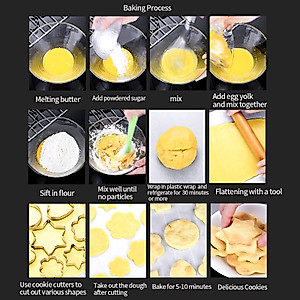 CookDaoMo Fruit Shapes Cookie Cutters Set of 10 Pcs, Stainless Steel Cookie Cutters Molds Banana, Pineapple, Apple, Pear, Peach, Orange, Strawberry, Lemon, Grape, Cherry Pattern Cookie Cutters