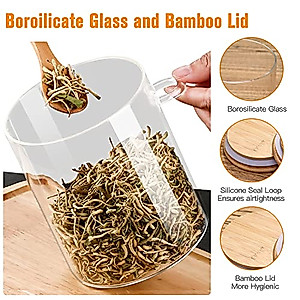 2 Pack Airtight Glass Jars with Bamboo Lid & Spoons, 19 Oz/540ML Glass Food Storage Containers Overnight Oats Containers with Lids, Decorative Kitchen Jars for Sugar, Storage,Cookie, Candy, Tea.